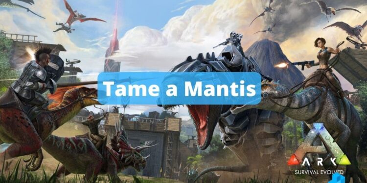 How to tame a Mantis Ark | Short Guide « HDG